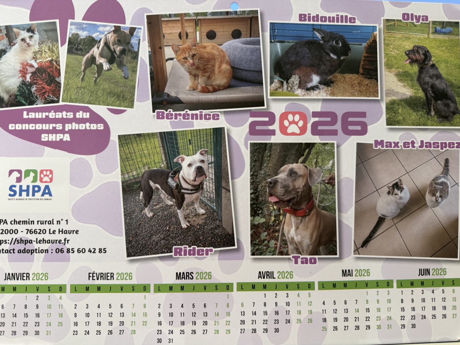 Le calendrier shpa est arrivé - SHPA Le Havre